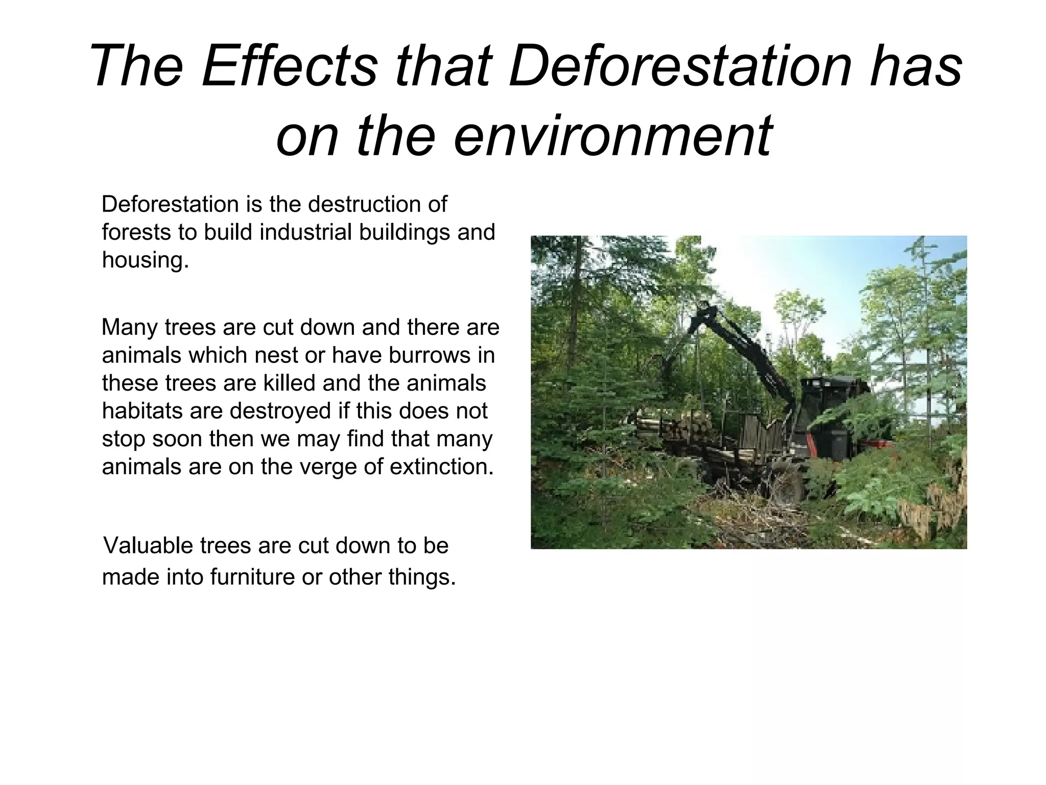 deforestation presentation | PPT
