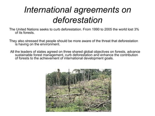 deforestation presentation | PPT