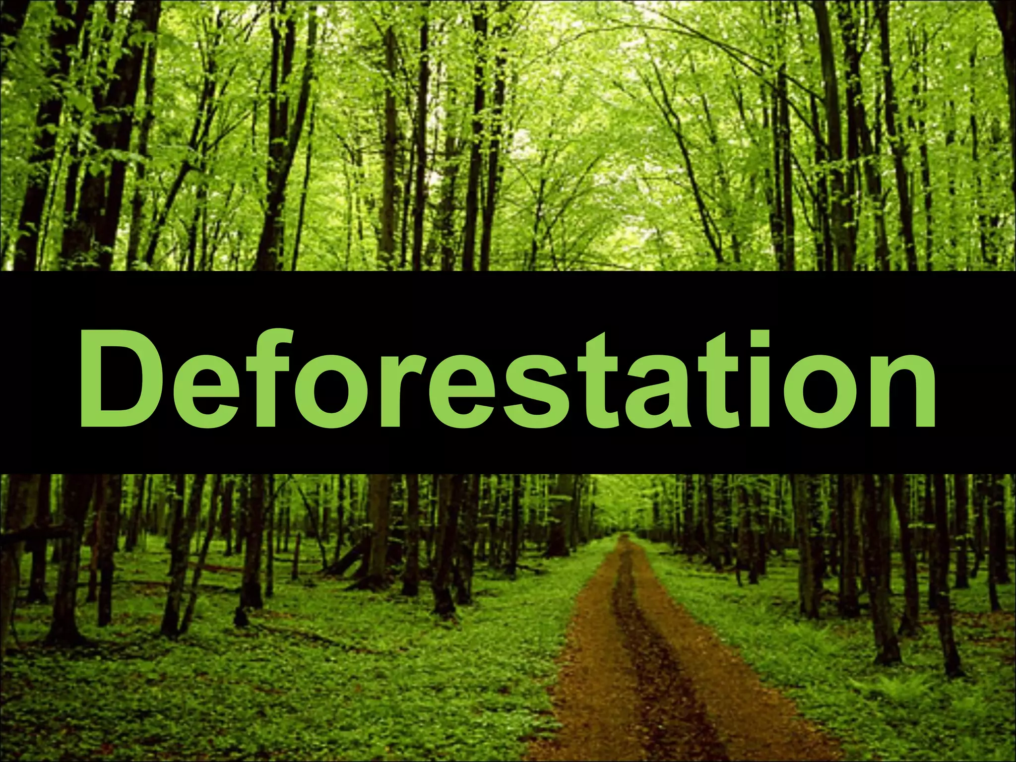 Deforestation | PPT