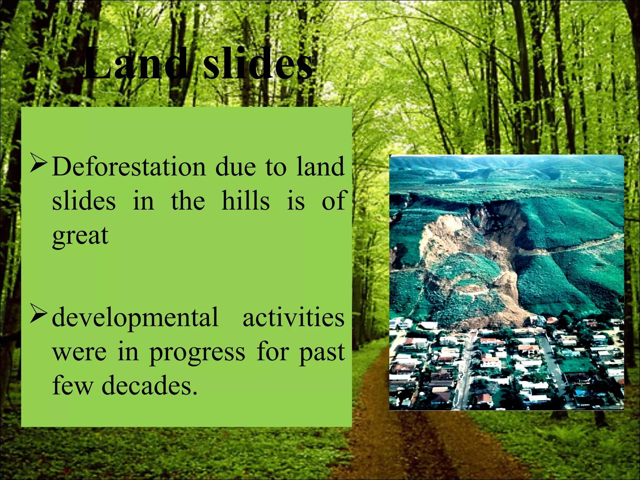 Deforestation | PPT