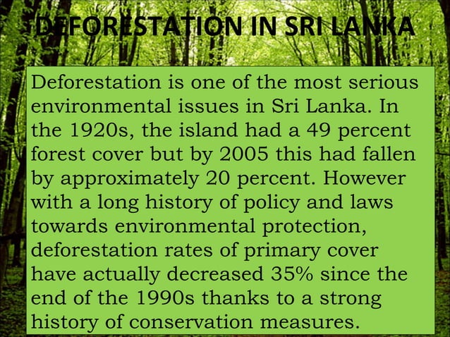 Deforestation | PPT