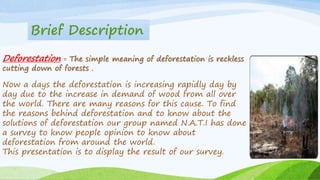 Deforestation (1) | PPT