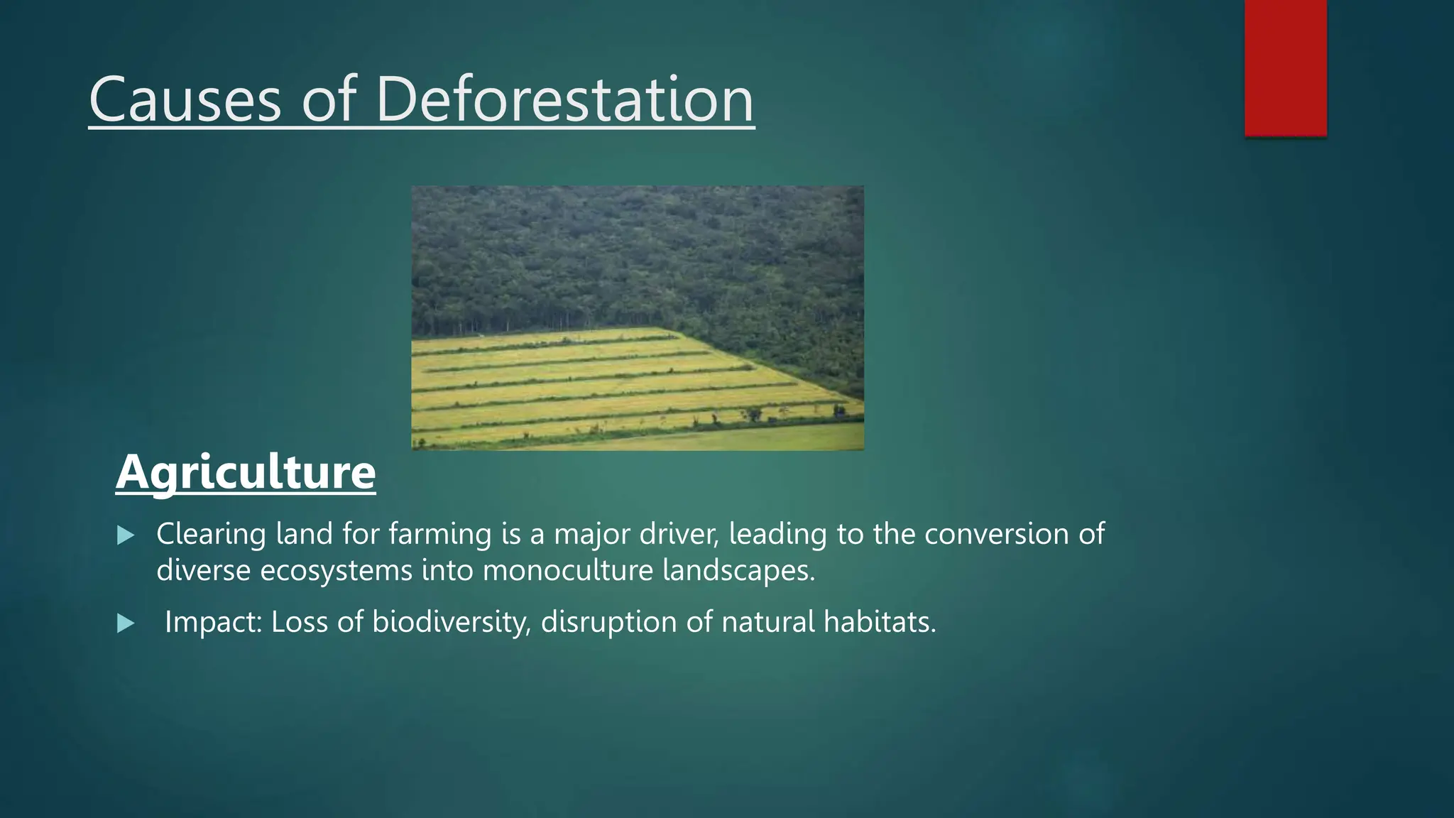 Conscientisation - deforestation 1 .pptx