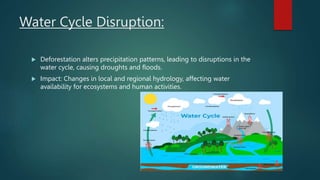 Conscientisation - deforestation 1 .pptx