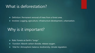 Conscientisation - deforestation 1 .pptx