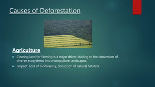 Conscientisation - deforestation 1 .pptx