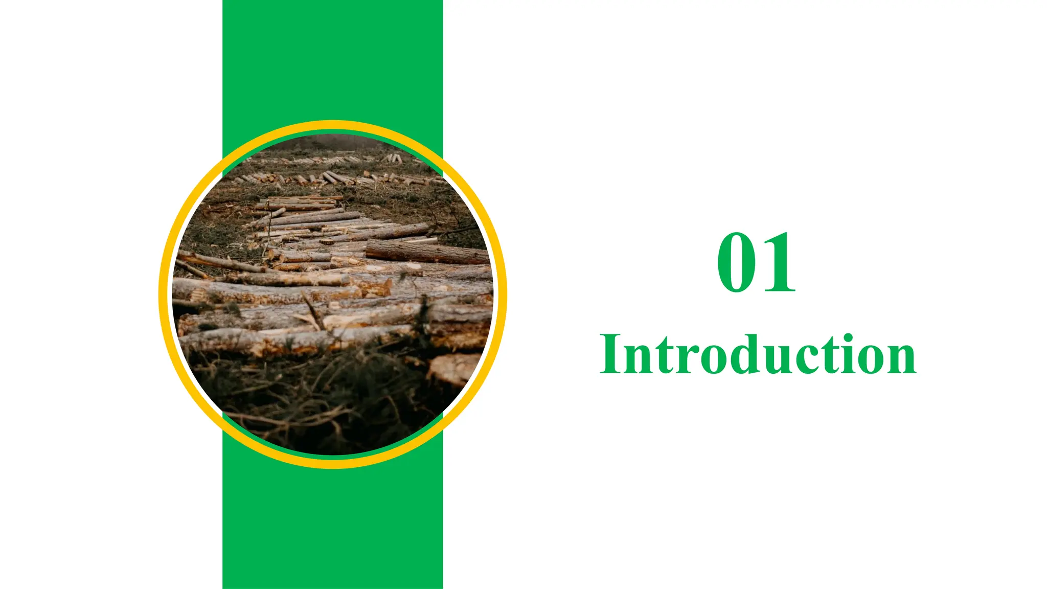 Deforestation 10 White The harmful Effects of Deforestation.pptx