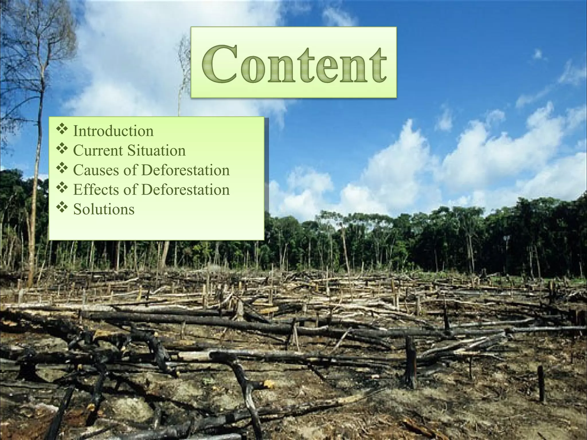 Deforestation in the world, its current situation, its causes, its ...