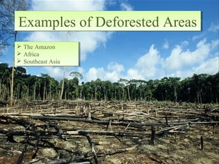 Deforestation in the world, its current situation, its causes, its ...