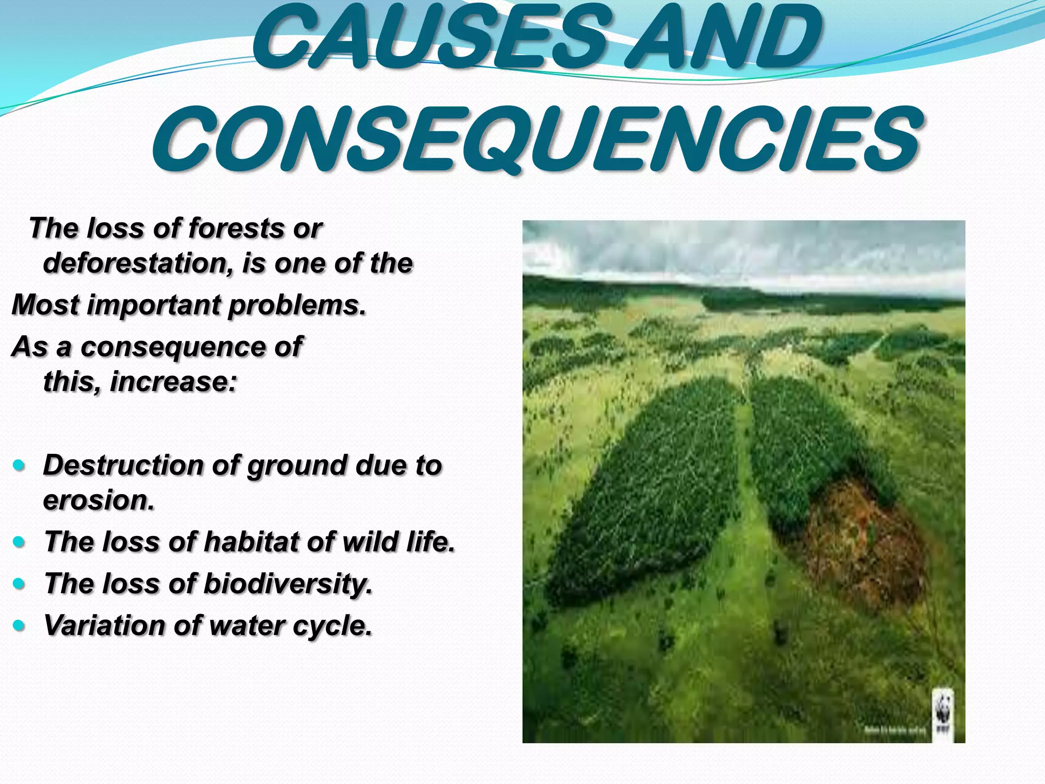 Deforestation 2 | PPSX | Environment | Science