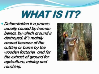 Deforestation 2 | PPSX | Environment | Science