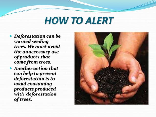 Deforestation 2 | PPSX | Environment | Science