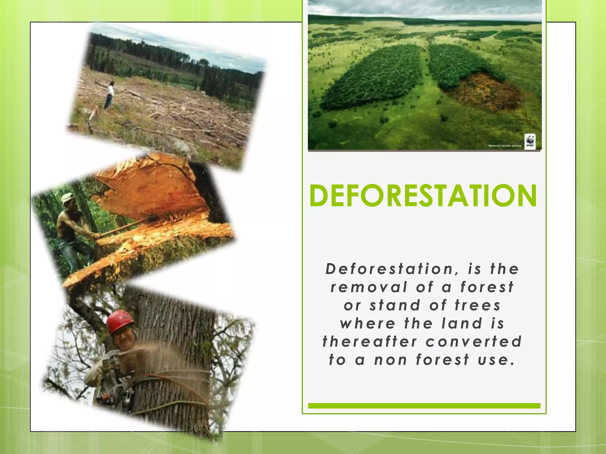 Deforestation 6 b pallares | PPT