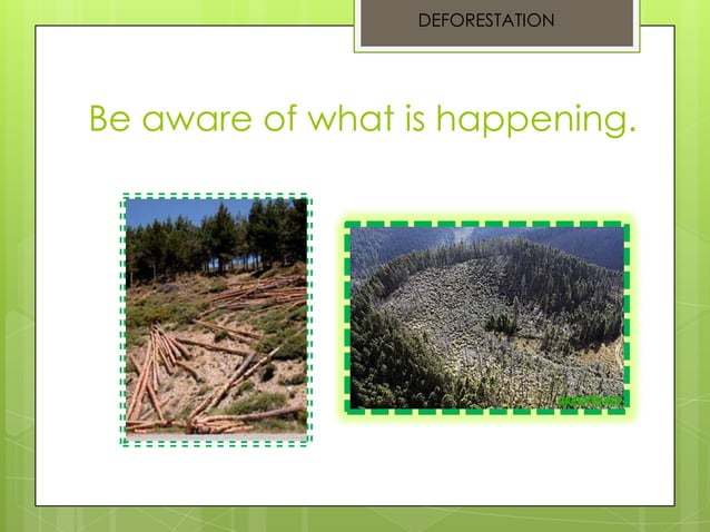 Deforestation 6 b pallares | PPT
