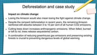 deforestation and case study EVS (Krishnaveni).pptx