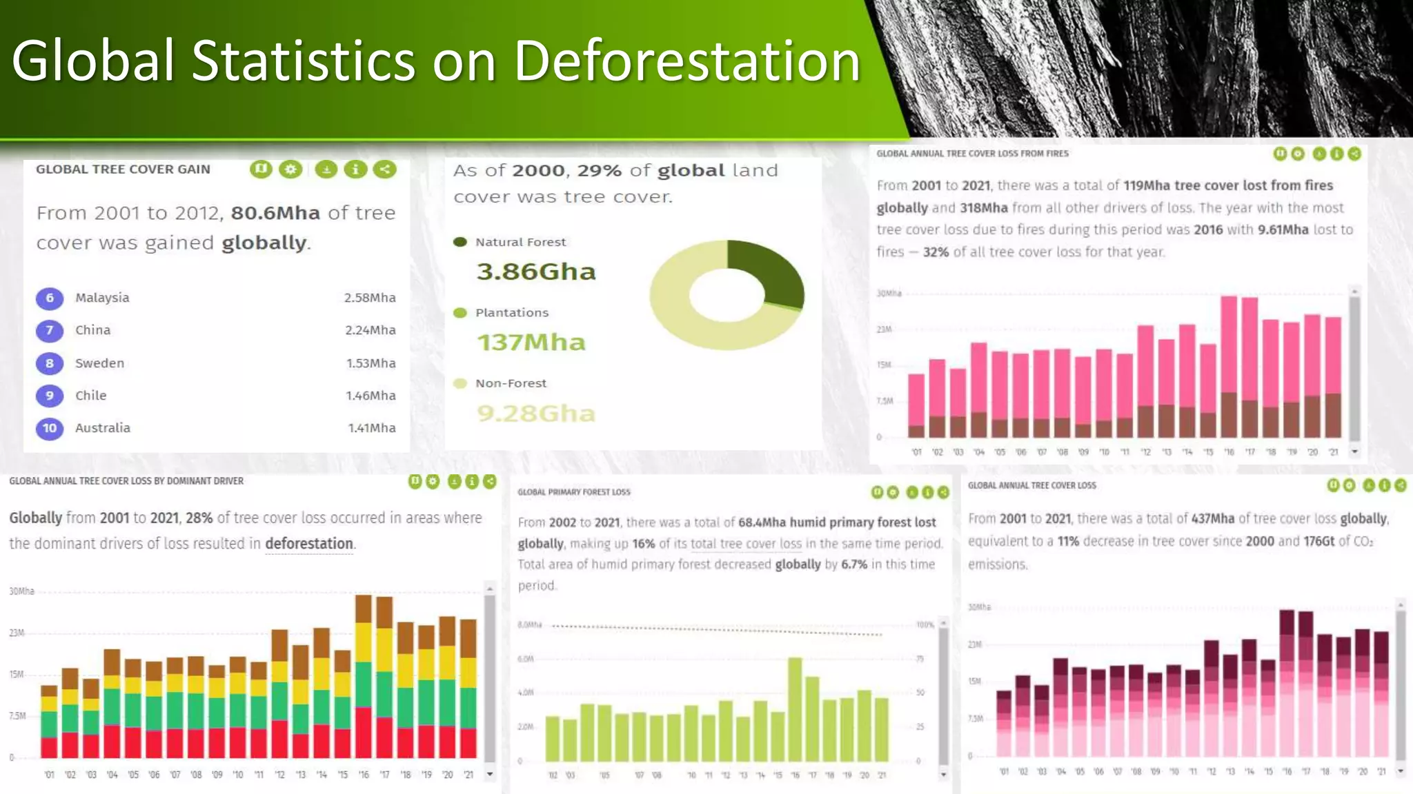Deforestation and Climate change.pptx