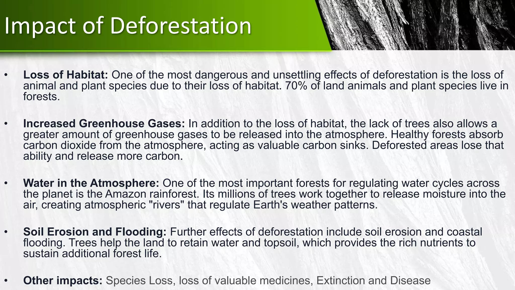 Deforestation and Climate change.pptx | Environmental Services Industry ...