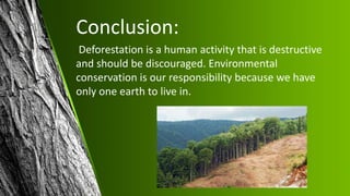 Deforestation and Climate change.pptx
