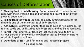Deforestation and Climate change.pptx | Environmental Services Industry ...