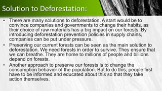Deforestation and Climate change.pptx