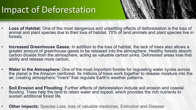 Deforestation and Climate change.pptx | Environmental Services Industry ...