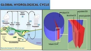 DEFORESTATION AND ITS IMPACT ON GLOBAL HYDROLOGICAL CYCLE | PPTX