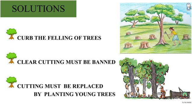 DEFORESTATION AND ITS IMPACT ON GLOBAL HYDROLOGICAL CYCLE | PPTX ...