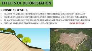 DEFORESTATION AND ITS IMPACT ON GLOBAL HYDROLOGICAL CYCLE | PPTX