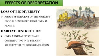 DEFORESTATION AND ITS IMPACT ON GLOBAL HYDROLOGICAL CYCLE | PPTX