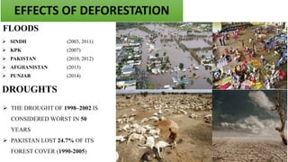 DEFORESTATION AND ITS IMPACT ON GLOBAL HYDROLOGICAL CYCLE | PPTX