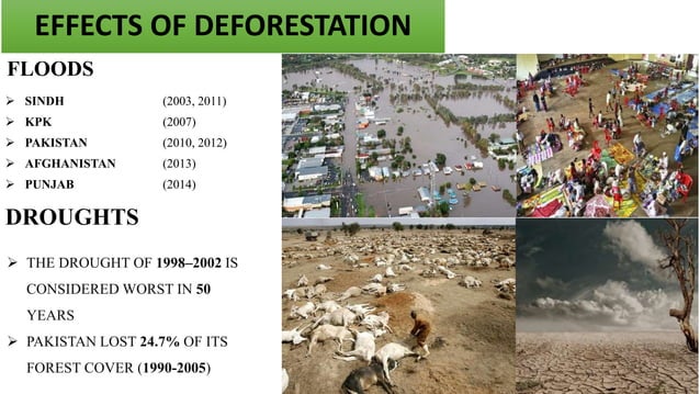 DEFORESTATION AND ITS IMPACT ON GLOBAL HYDROLOGICAL CYCLE | PPTX ...