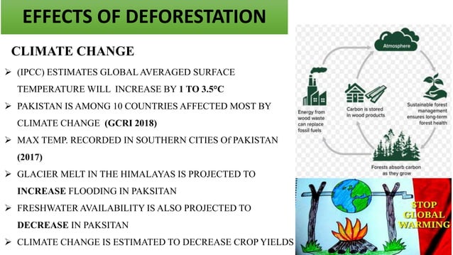 DEFORESTATION AND ITS IMPACT ON GLOBAL HYDROLOGICAL CYCLE | PPTX ...