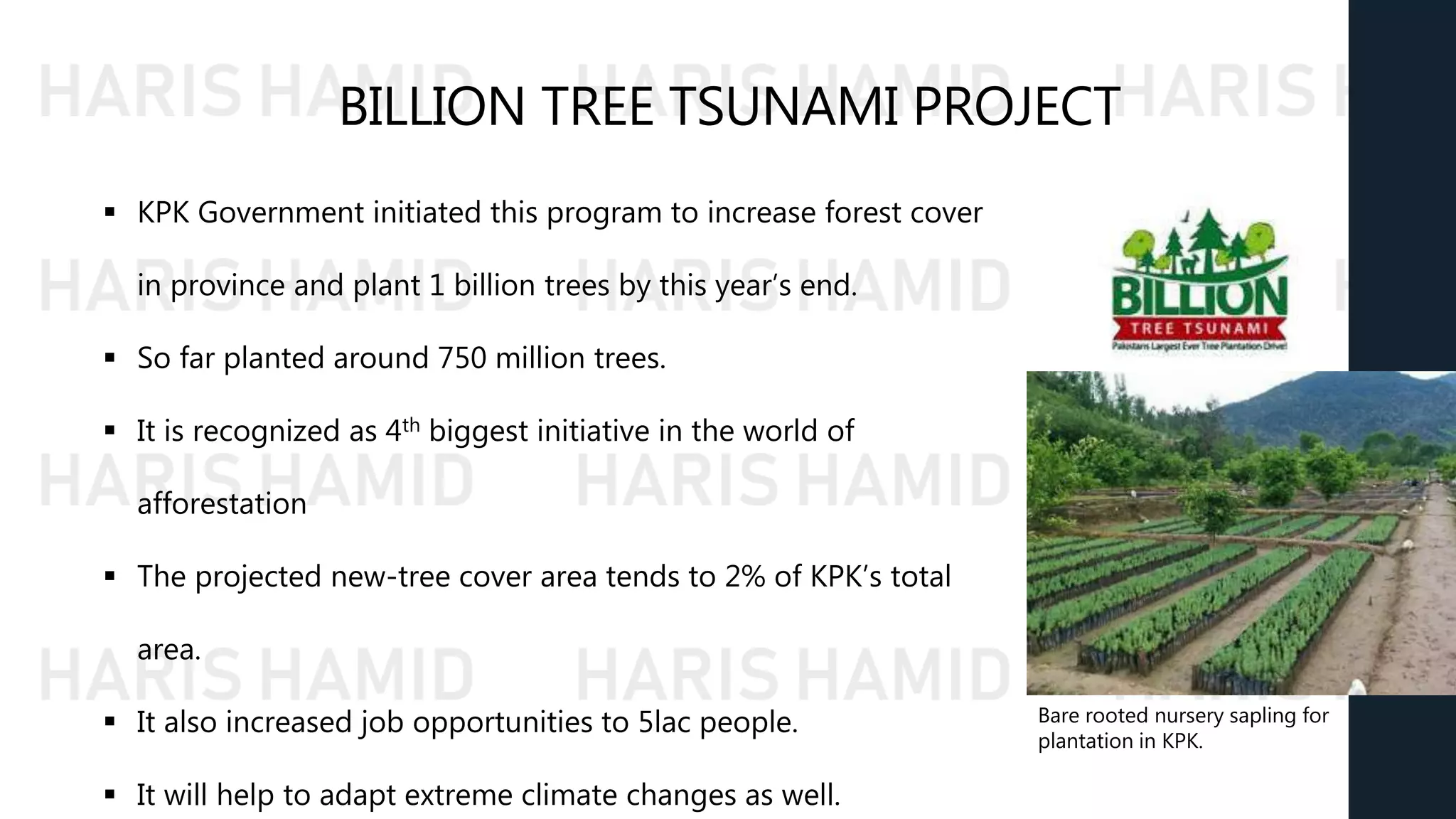 Deforestation and pakistan | PPTX