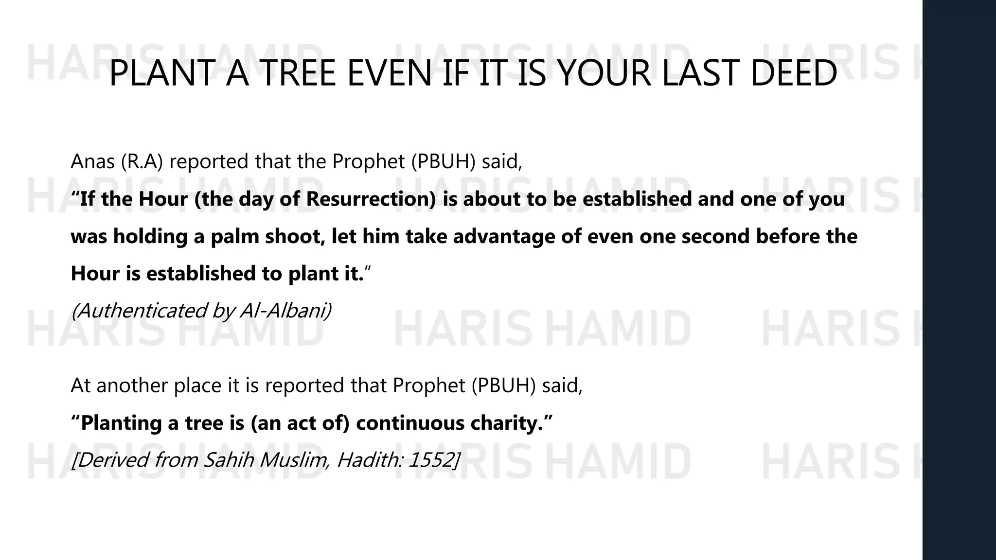 Deforestation and pakistan | PPTX