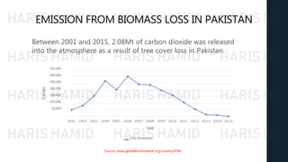 Deforestation and pakistan | PPTX