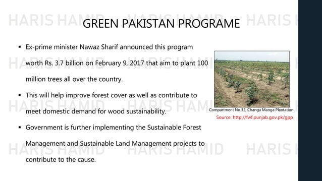 Deforestation and pakistan | PPTX