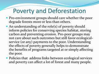 Deforestation and Poverty | PPTX