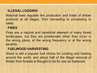 D eforestation catarina | PPT