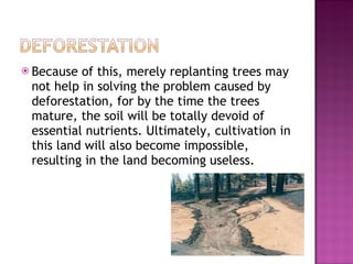 Deforestation & conservation efforts | PPT | Gardening | Home & Garden