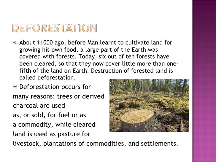 Deforestation & conservation efforts Deforestation & conservation efforts