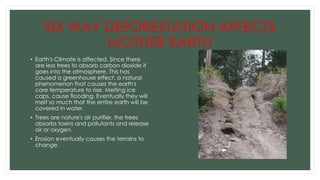 Deforestation definition | PPT