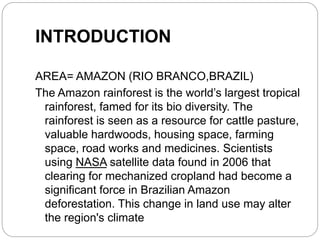 Deforestation in amazon | PPT