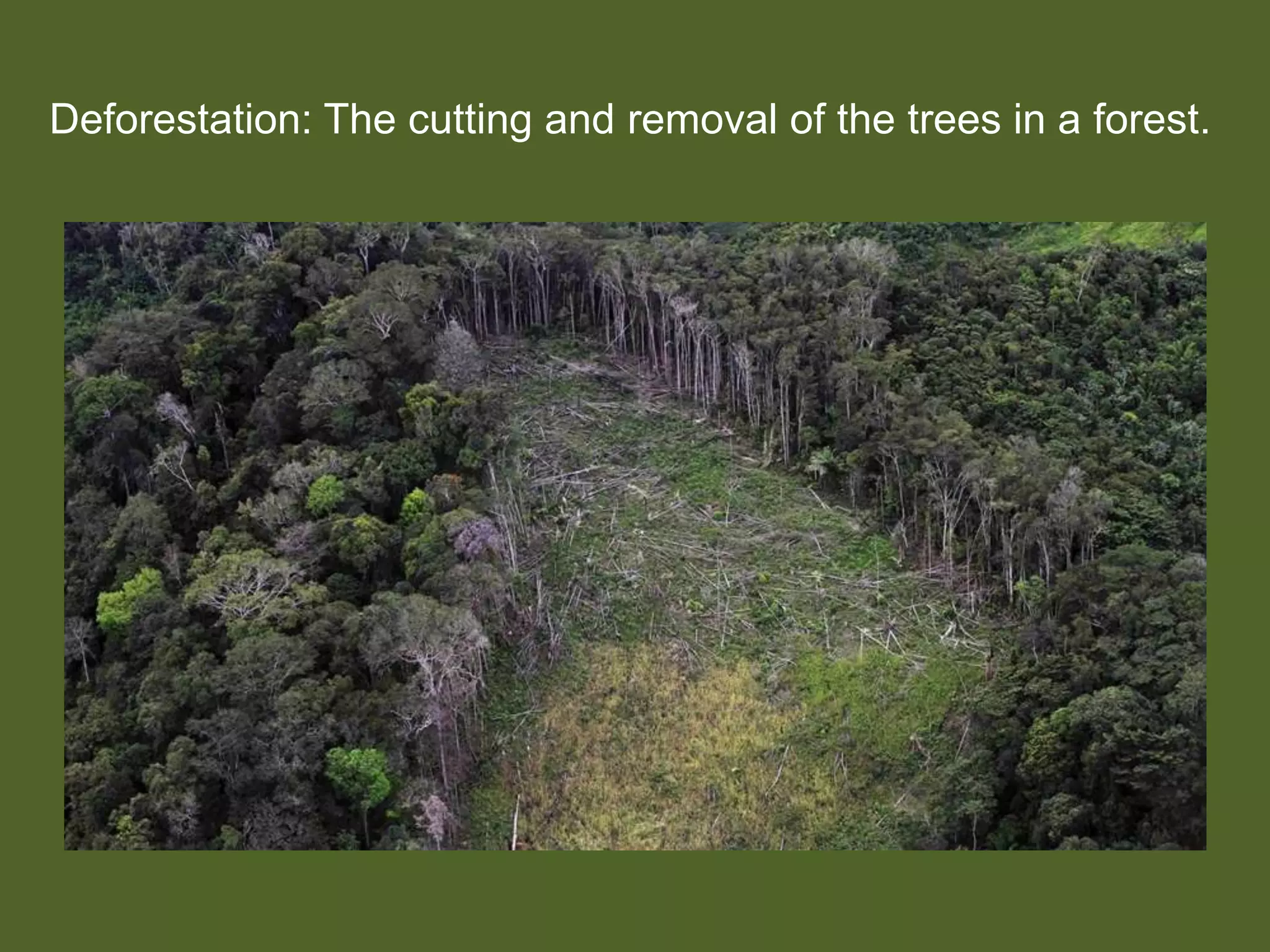 Deforestation in brazil | PPTX