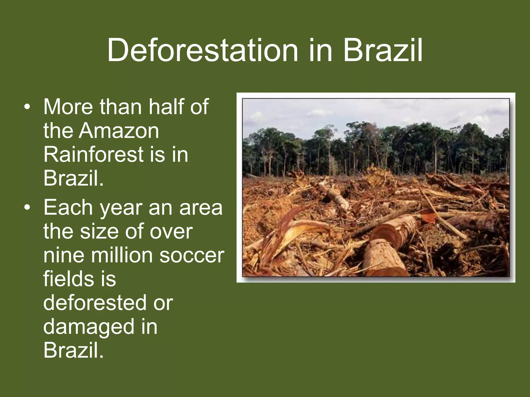 Deforestation in brazil | PPTX