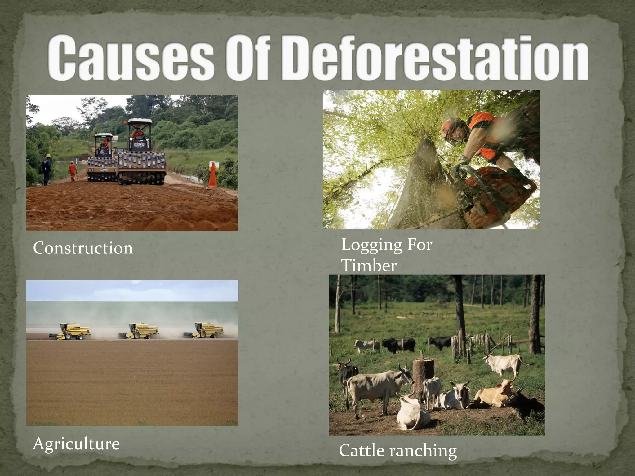 Deforestation In Brazil | PPT