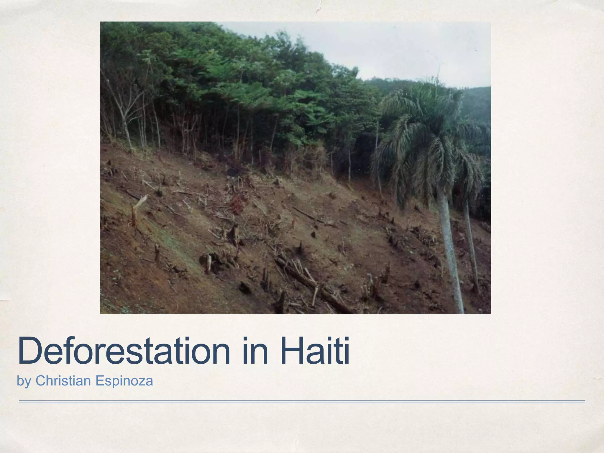 Deforestation in haiti | PPTX