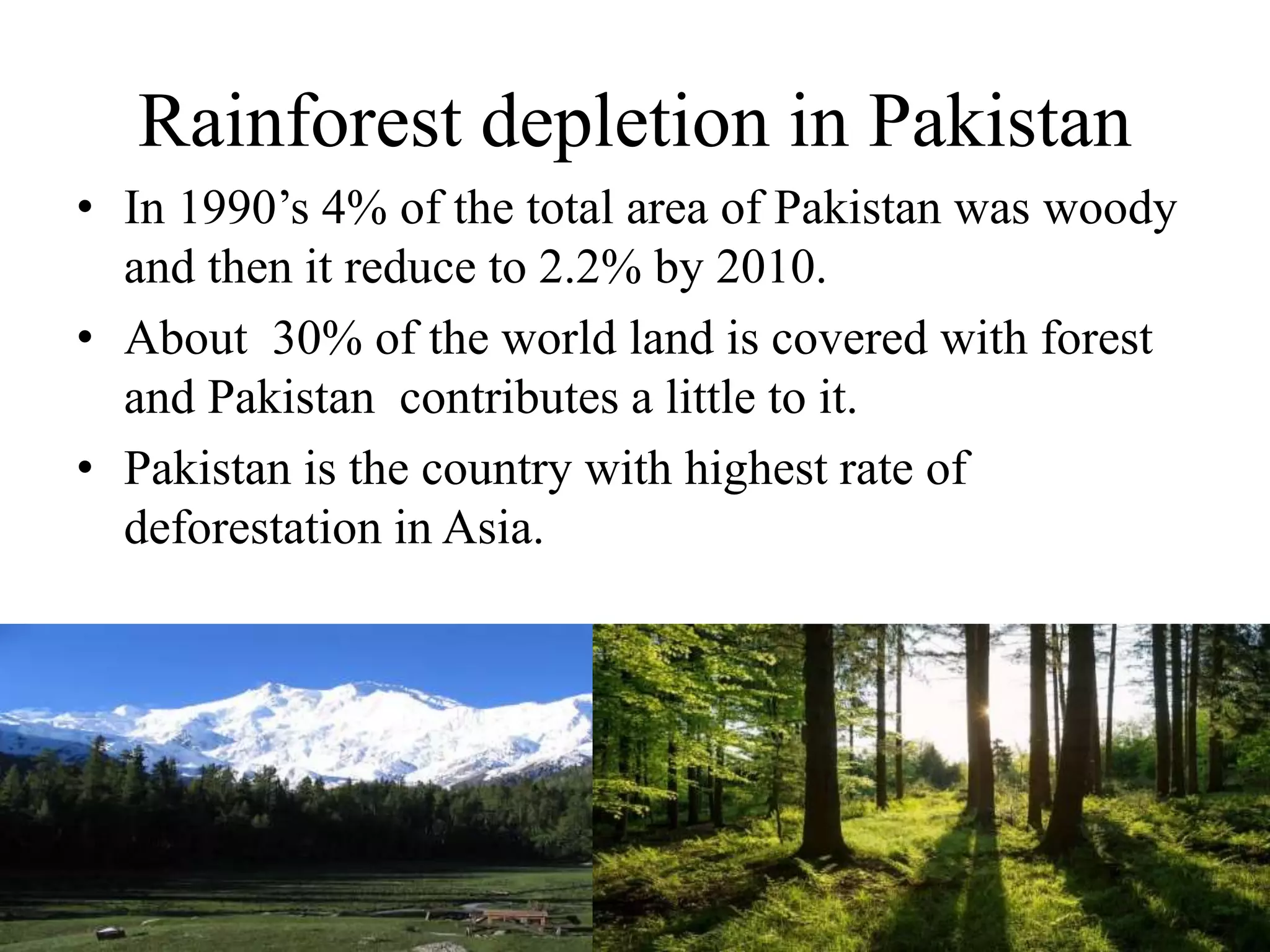 Deforestation in pakistan | PPTX