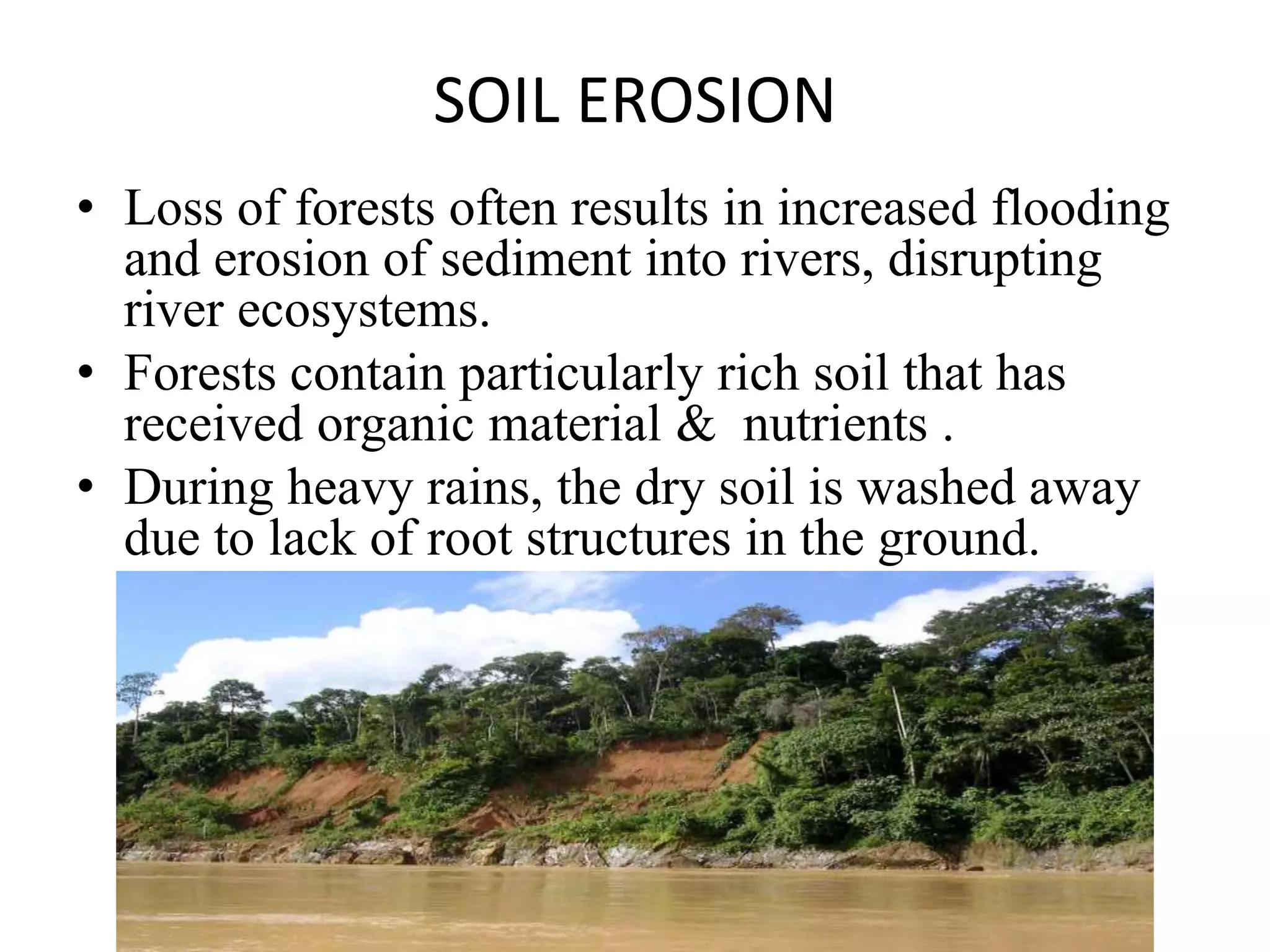 Deforestation in pakistan | PPTX