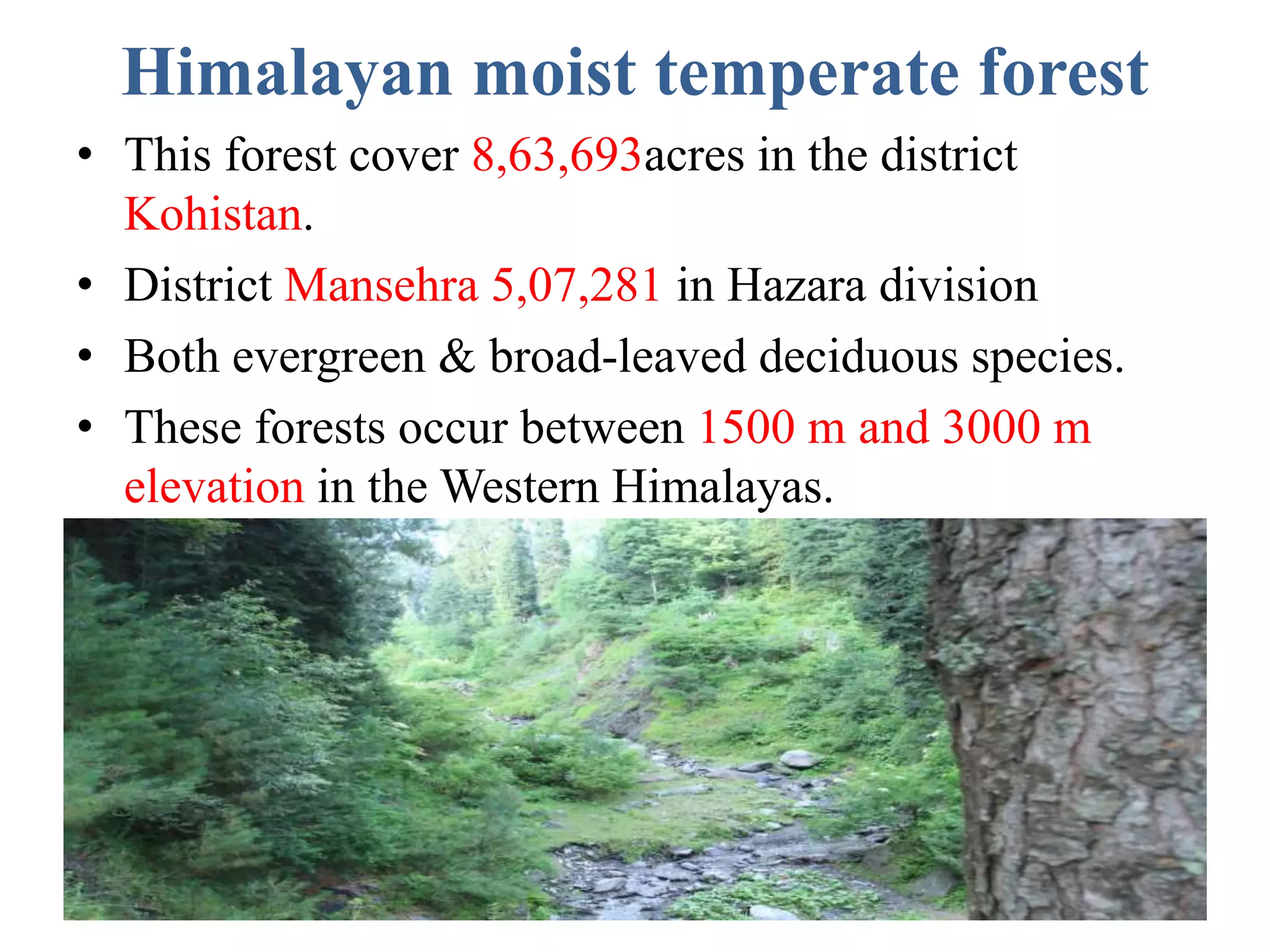 Deforestation in pakistan | PPTX