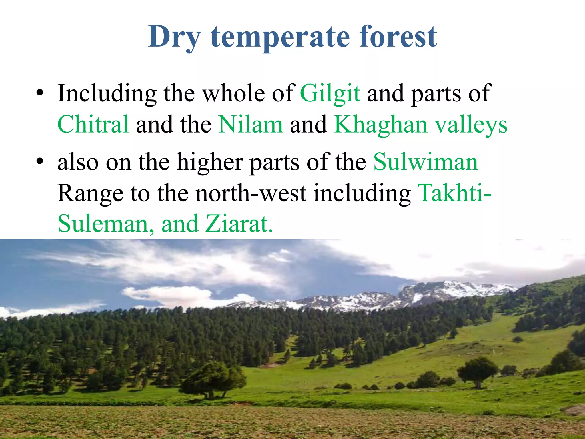 Deforestation in pakistan | PPTX